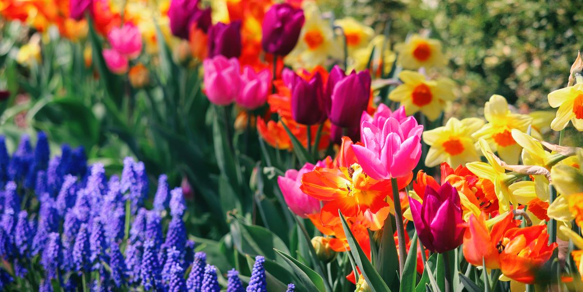 A Paradise of Nature: A Spring Poem – The Update